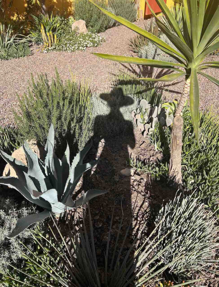 Projects - Grace Fuller Design