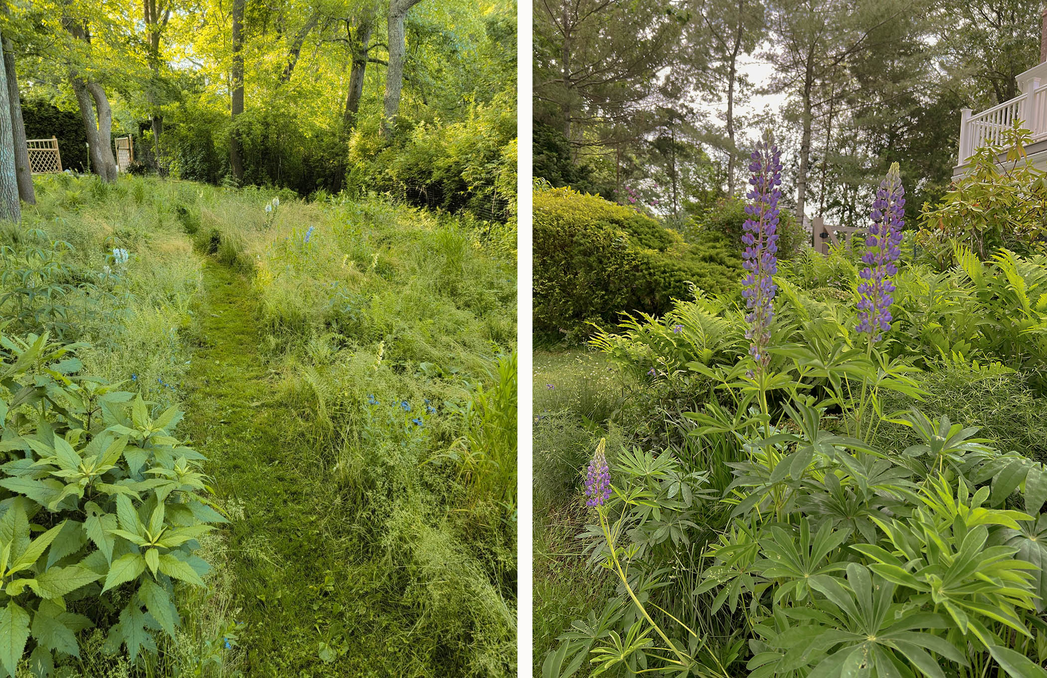 WATER MILL RESIDENCE, NY, USA - Grace Fuller Design