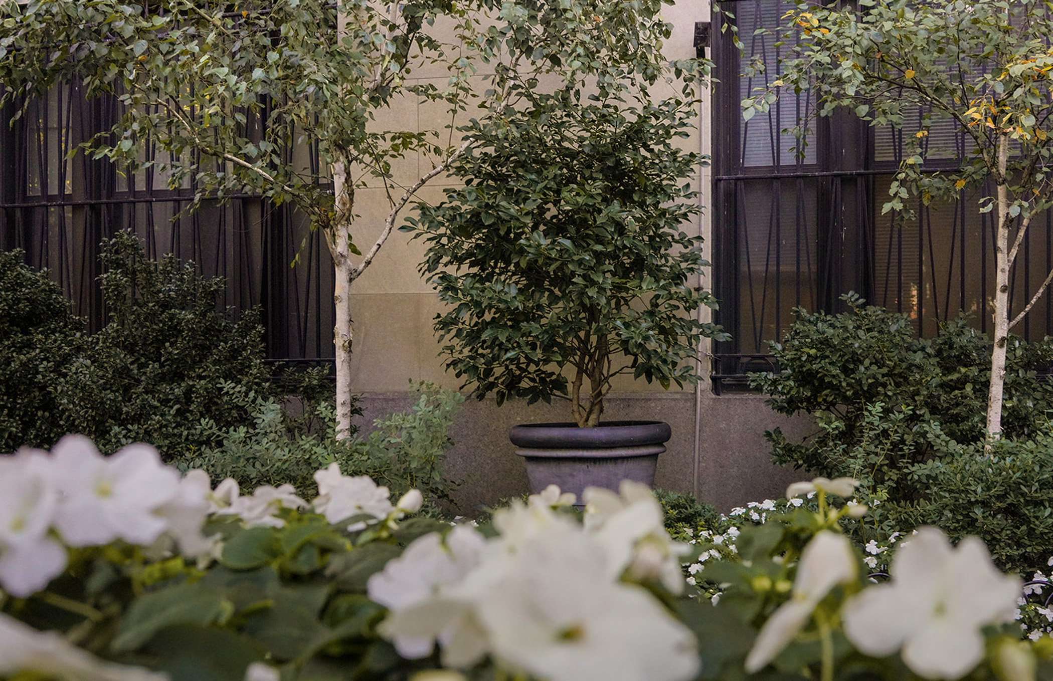 UPPER EAST SIDE BUILDING, NY, USA - Grace Fuller Design